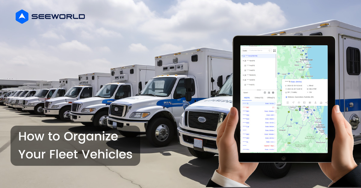 How to Organize Your Fleet Vehicles? | SEEWORLD